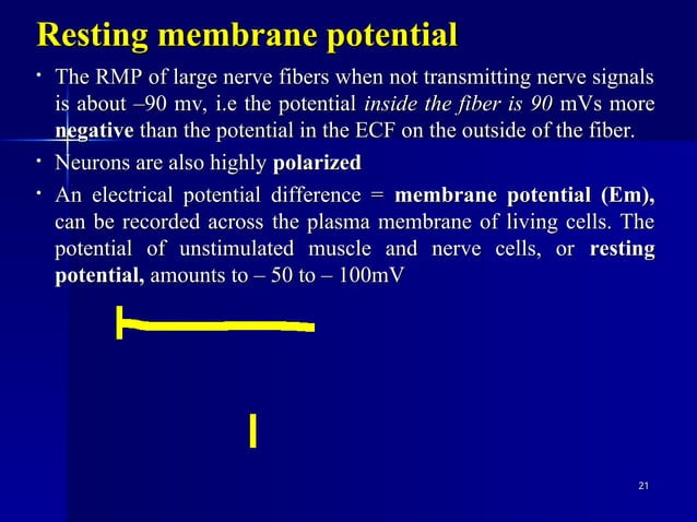 excitable tissue.ppt excitable tissues ppt | PPT