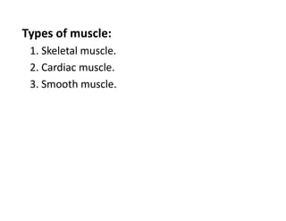 Excitable tissues- muscle.pdf | Heart and Cardiovascular Diseases ...