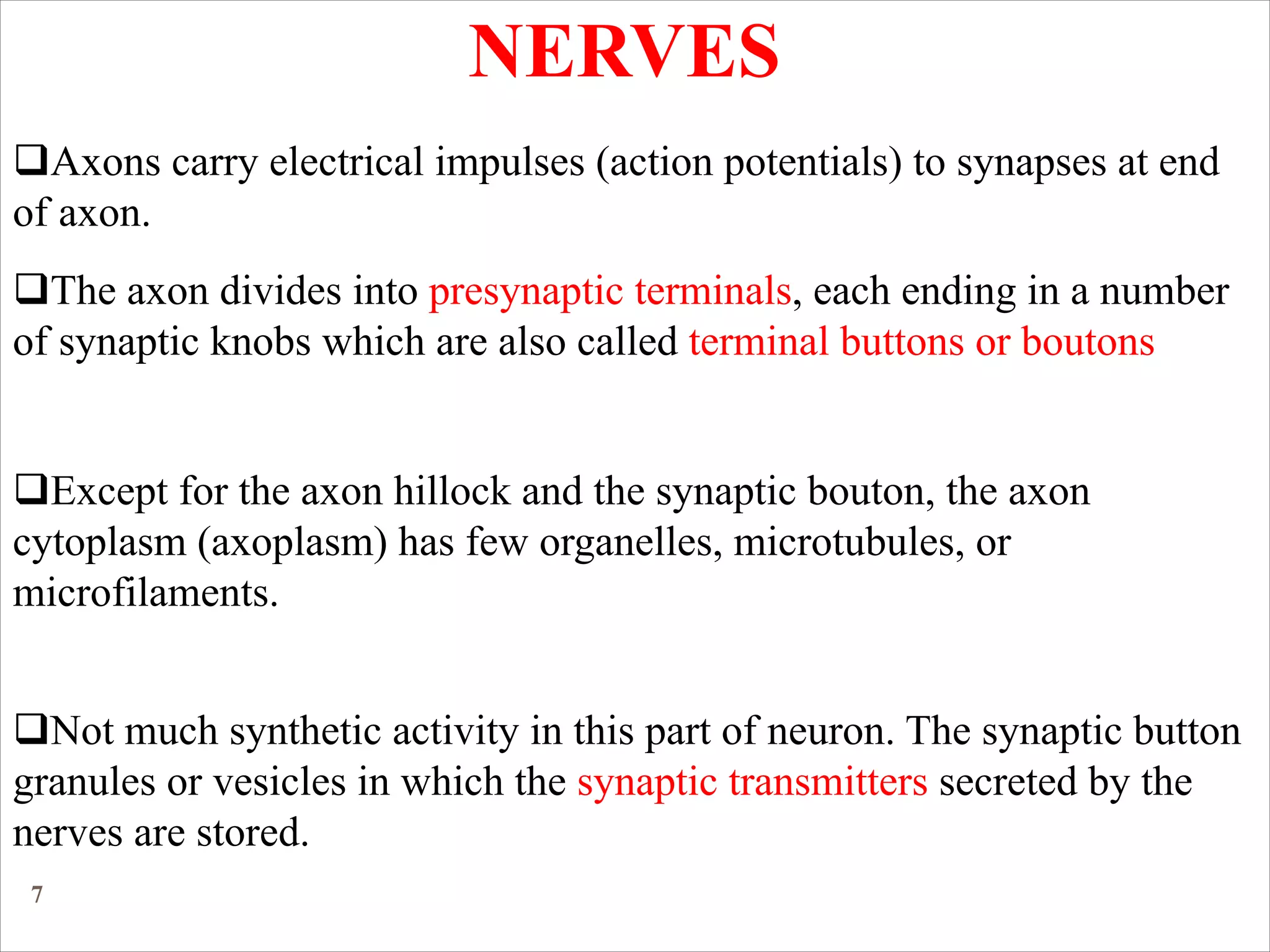 Excitable tissues nerve | PDF