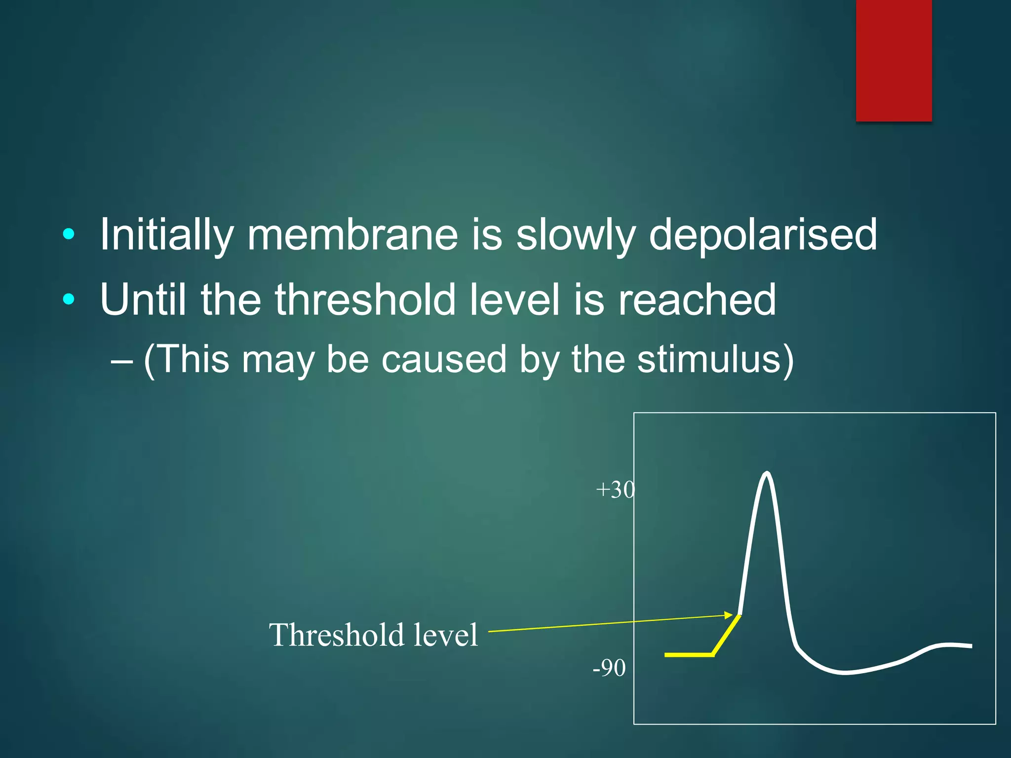 Excitable Tissues, Resting Membrane Potential & Action.pptx