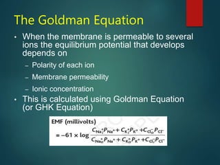 Excitable Tissues, Resting Membrane Potential & Action.pptx
