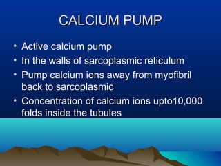 Excitation contraction | PPT