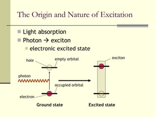 Excitation Energy Transfer In Photosynthetic Membranes | PPT