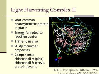 Excitation Energy Transfer In Photosynthetic Membranes | PPT