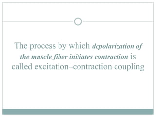 Excitation and contraction of muscle | PPTX