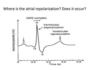Excitations of heart rhythms and ECG.ppt