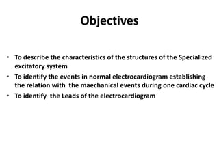 Excitations of heart rhythms and ECG.ppt