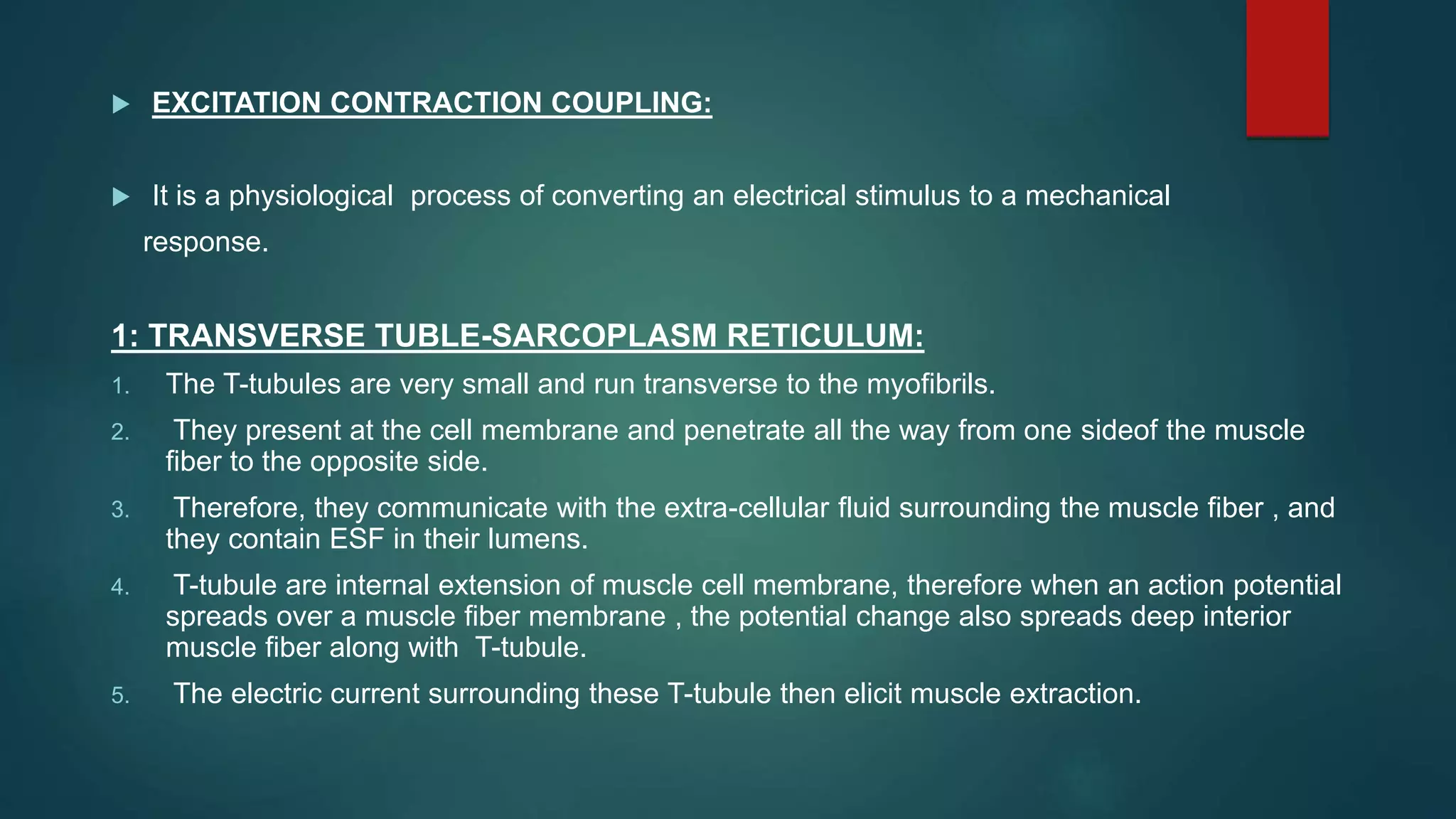 Excitation contraction coupling | PPTX