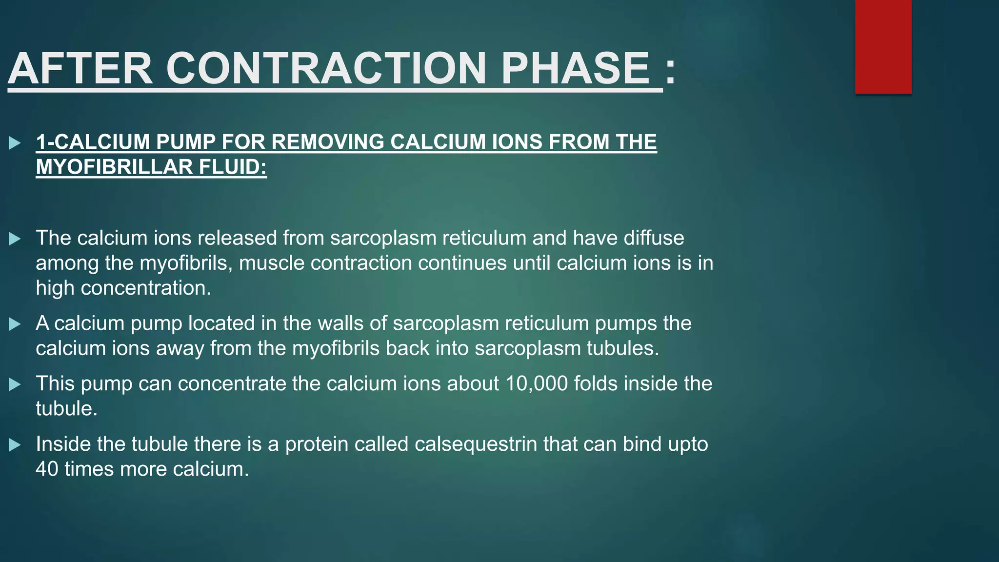 Excitation contraction coupling | PPTX