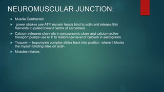 Excitation contraction coupling | PPTX