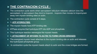 Excitation contraction coupling | PPTX