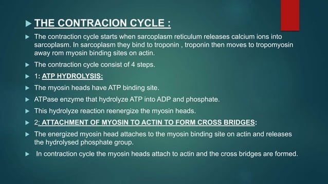 Excitation contraction coupling | PPTX