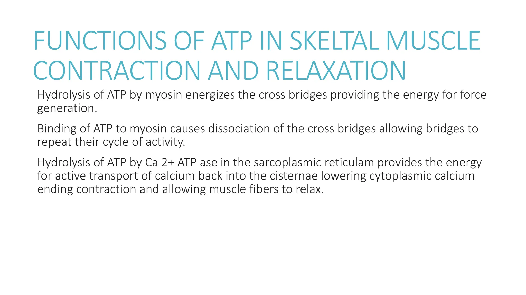 EXCITATION CONTRACTION COUPLING physiology | PPTX