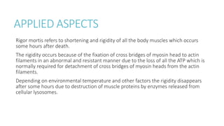 EXCITATION CONTRACTION COUPLING physiology | PPTX