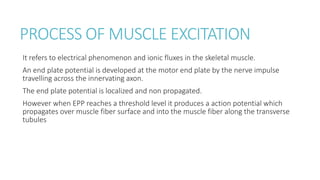 EXCITATION CONTRACTION COUPLING physiology | PPTX