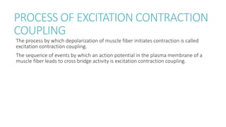 EXCITATION CONTRACTION COUPLING physiology | PPTX