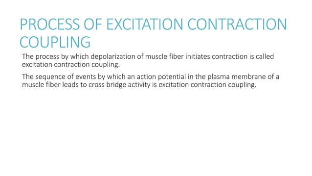EXCITATION CONTRACTION COUPLING physiology | PPTX