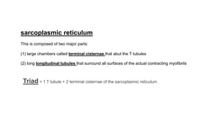 EXCITATION OF SKELETAL MUSCLE.pptx