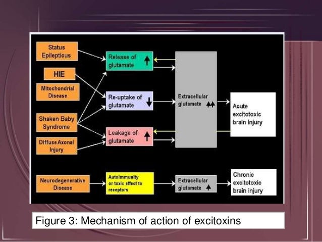 Excitotoxins their role in neurodegeneration