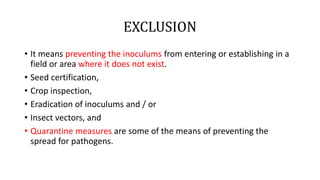 EXCLUSION OF PLANT DISEASES.pptx