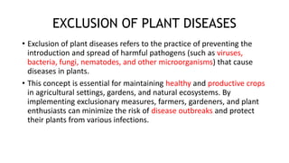 EXCLUSION OF PLANT DISEASES.pptx