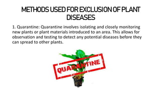 EXCLUSION OF PLANT DISEASES.pptx