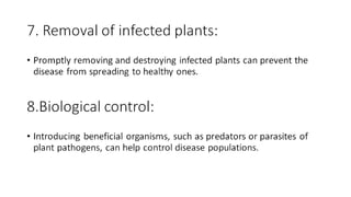 EXCLUSION OF PLANT DISEASES.pptx