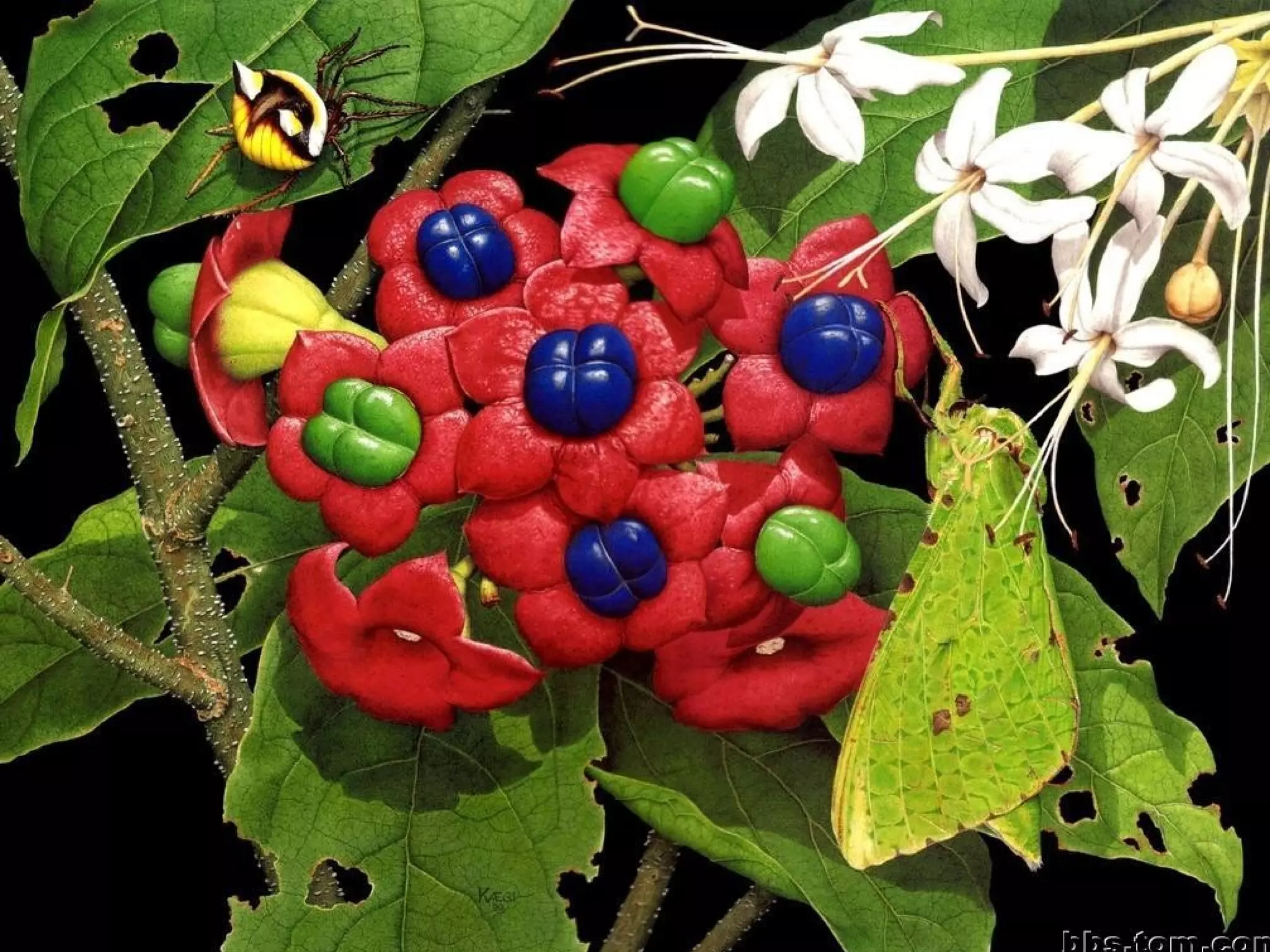 Exclusive coloured drawing living things | PPS | Drawing and Sketching ...