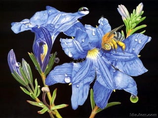 Exclusive coloured drawing living things | PPS | Drawing and Sketching ...