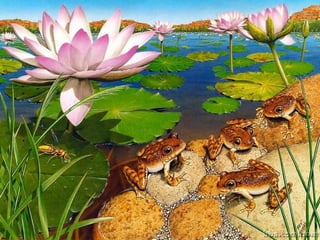 Exclusive coloured drawing living things | PPS | Drawing and Sketching ...