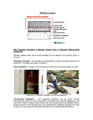 MODULAR GREENROOF TECHNOLOGY: AN OVERVIEW OF TWO SYSTEMS | PDF