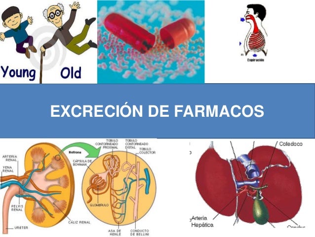 Excrecion De Farmacos Excrecion De Farmacos