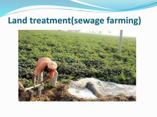 Excreta Disposal ppt.pptx