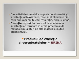 Excretia | PPT