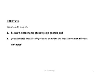 Excretion | PPTX