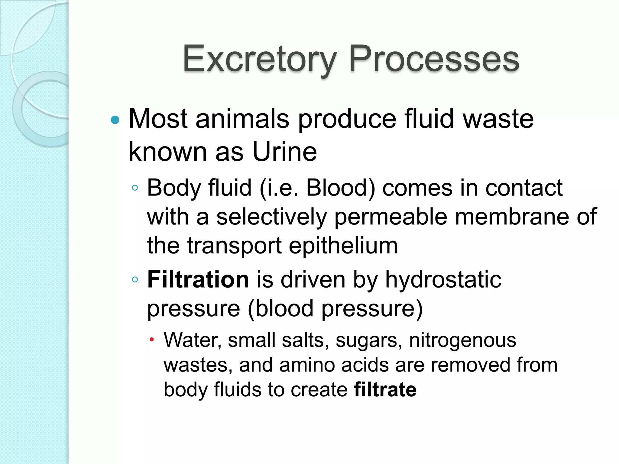 Excretion | PPTX