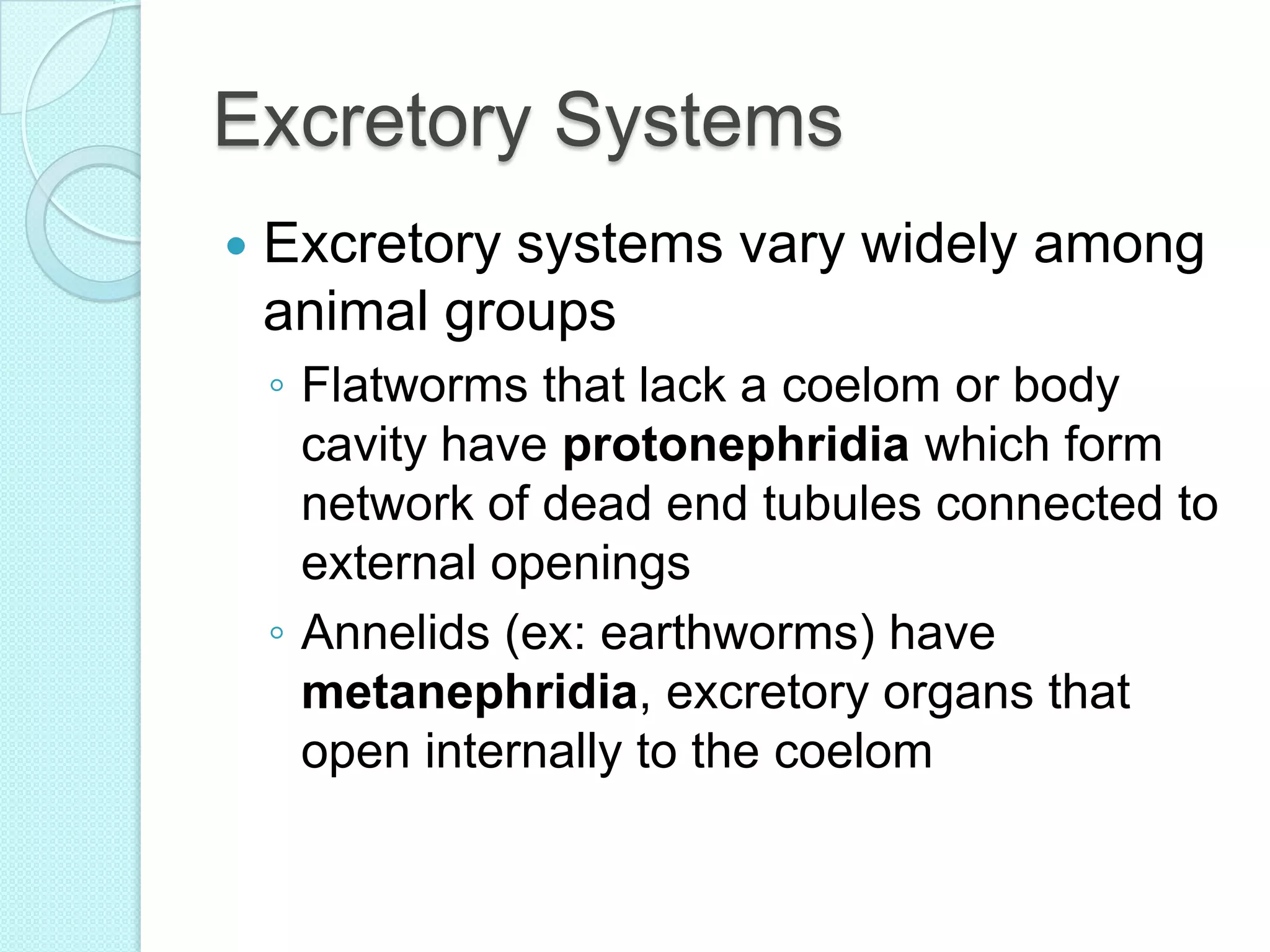 Excretion | PPTX