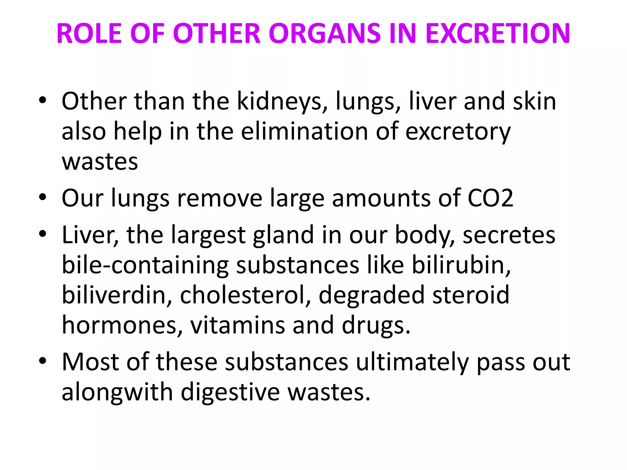 Excretory System | PPTX