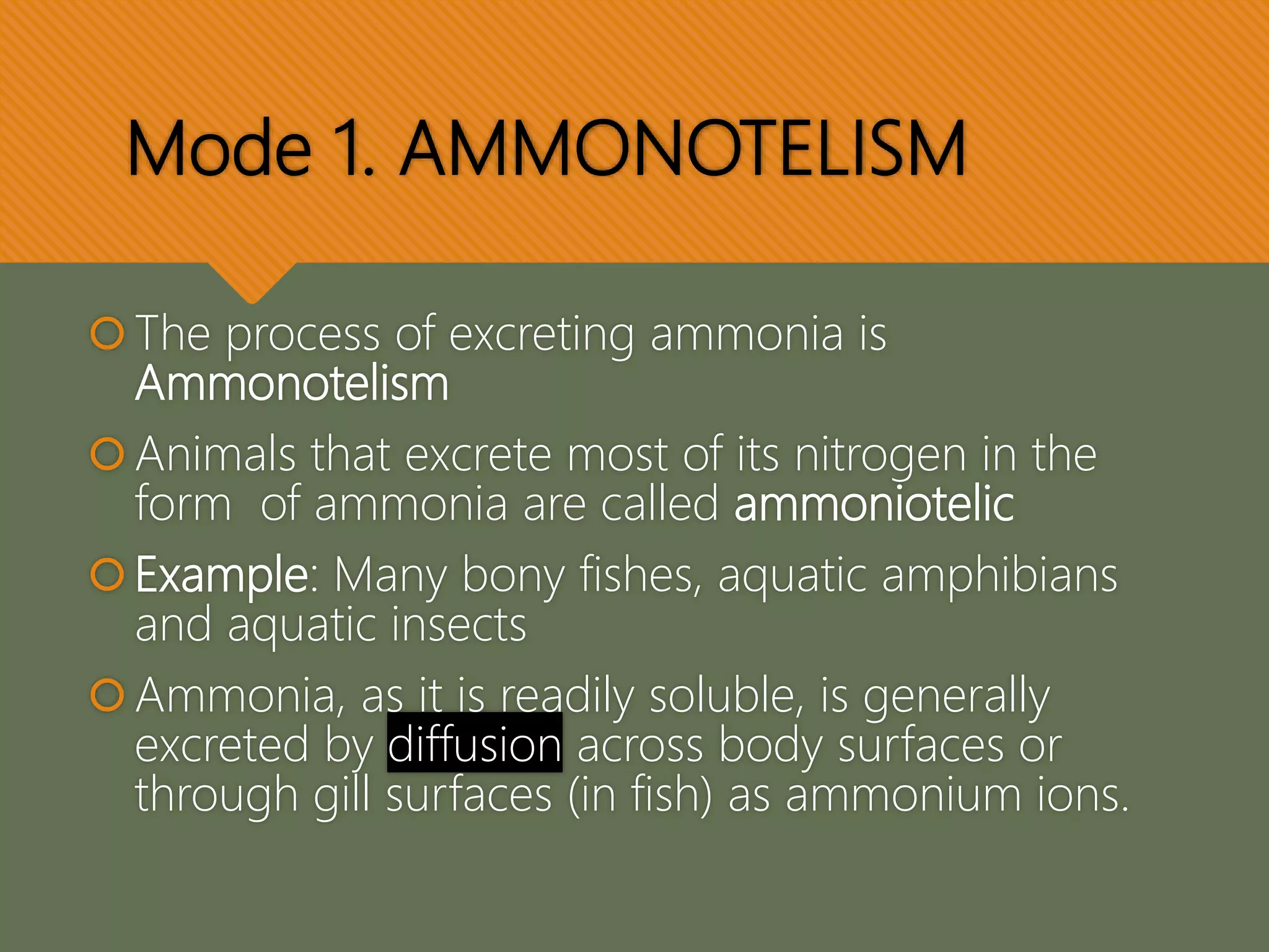Excretory Products and their Elimination | PPTX