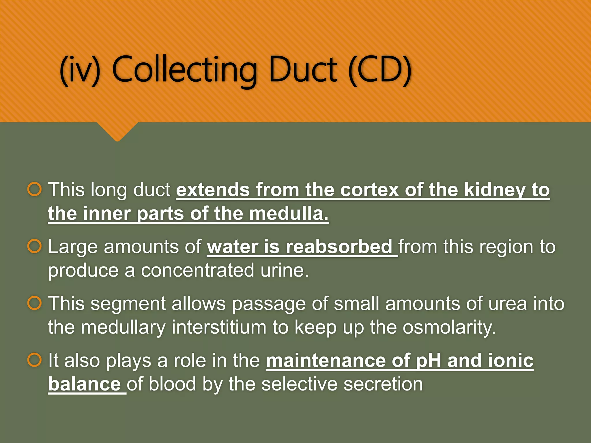 Excretory Products and their Elimination | PPTX
