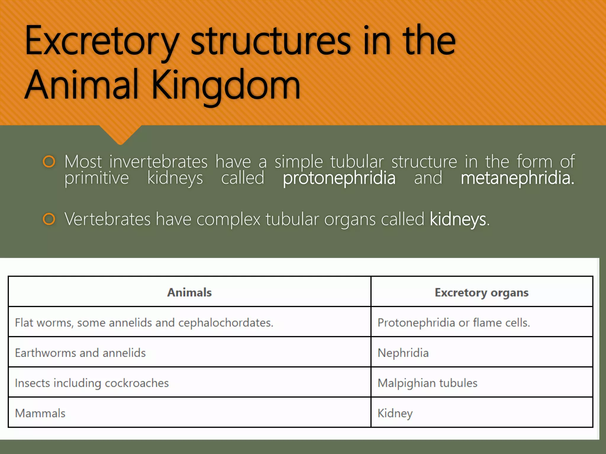 Excretory Products and their Elimination | PPTX