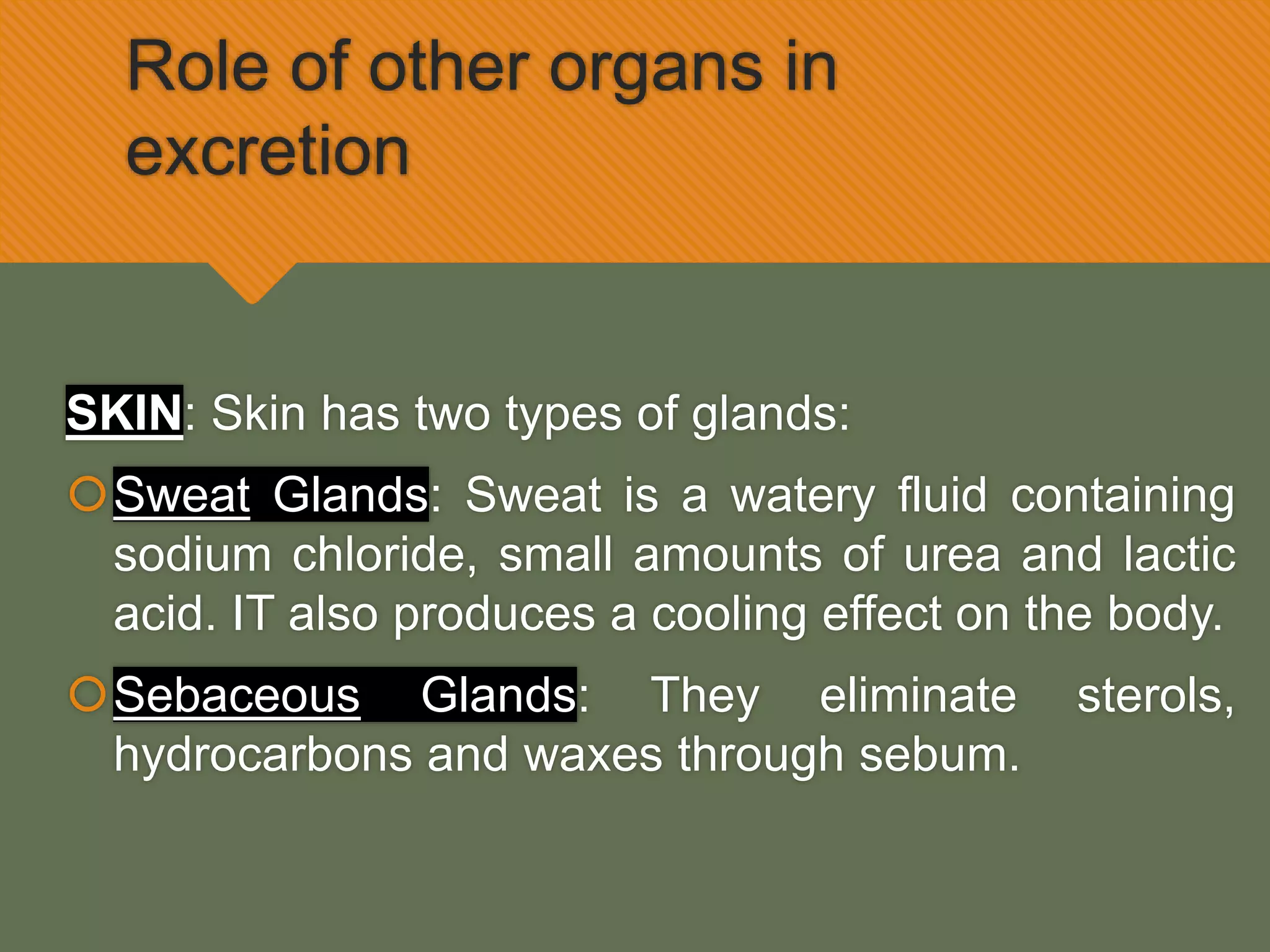 Excretory Products and their Elimination | PPTX