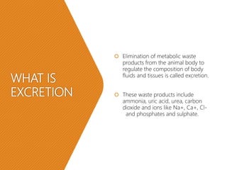Excretory Products and their Elimination | PPTX