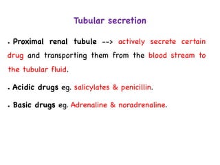 Drug Excretion.pdf