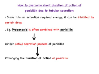 Drug Excretion.pdf