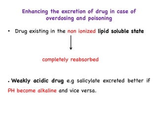 Drug Excretion.pdf