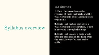 Excretion.pptx