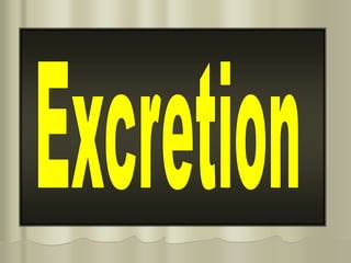 Excretion | PPSX | Digestive Disorders | Diseases and Conditions