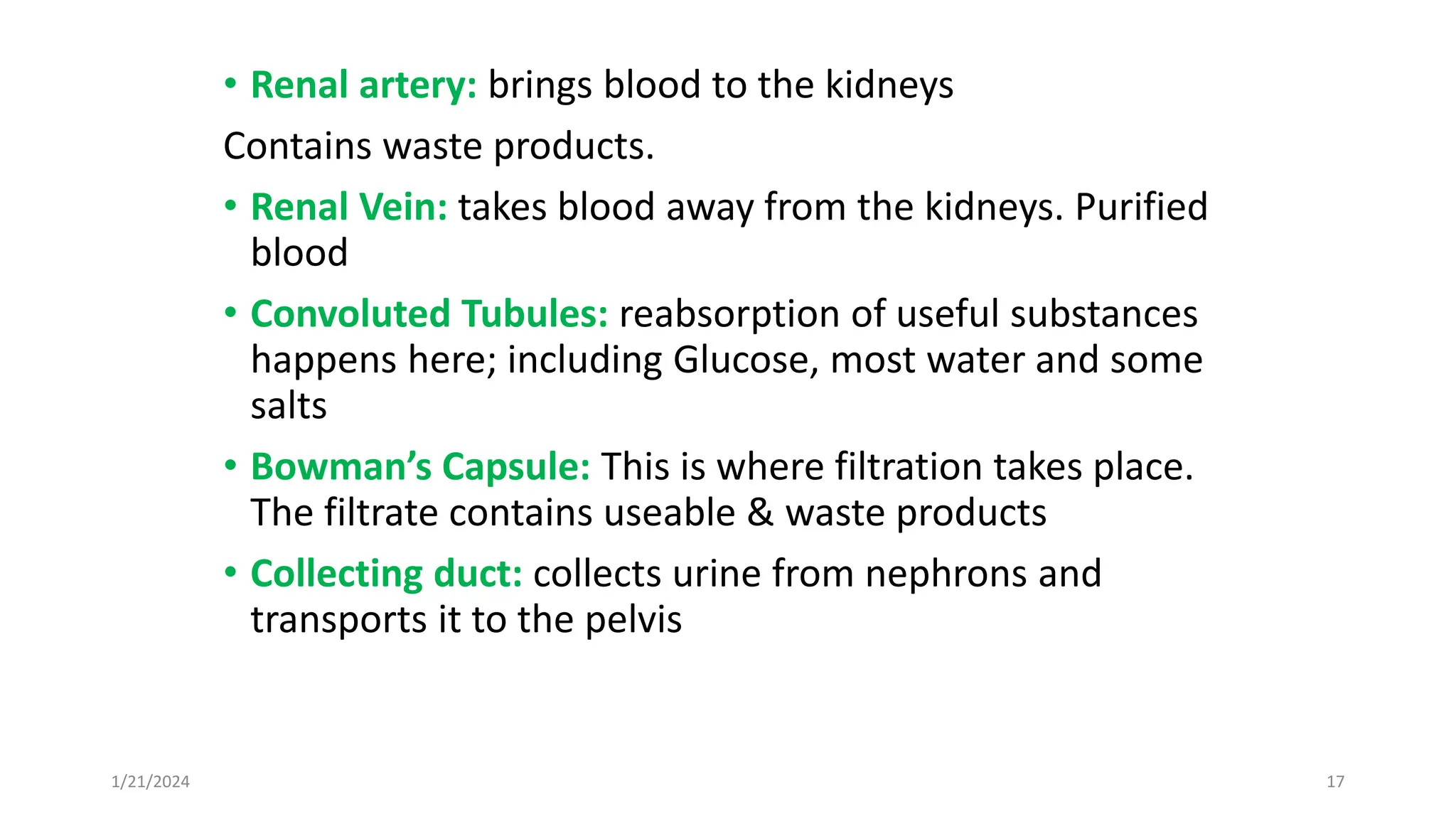 Excretion-in-humans-igcse.pptx