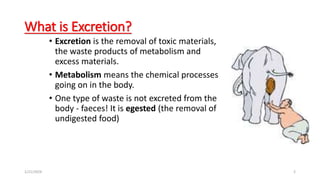Excretion-in-humans-igcse.pptx